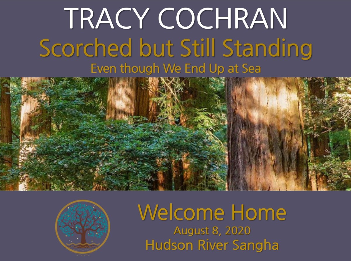 Scorched but Still Standing: a guided meditation – Tracy Cochran