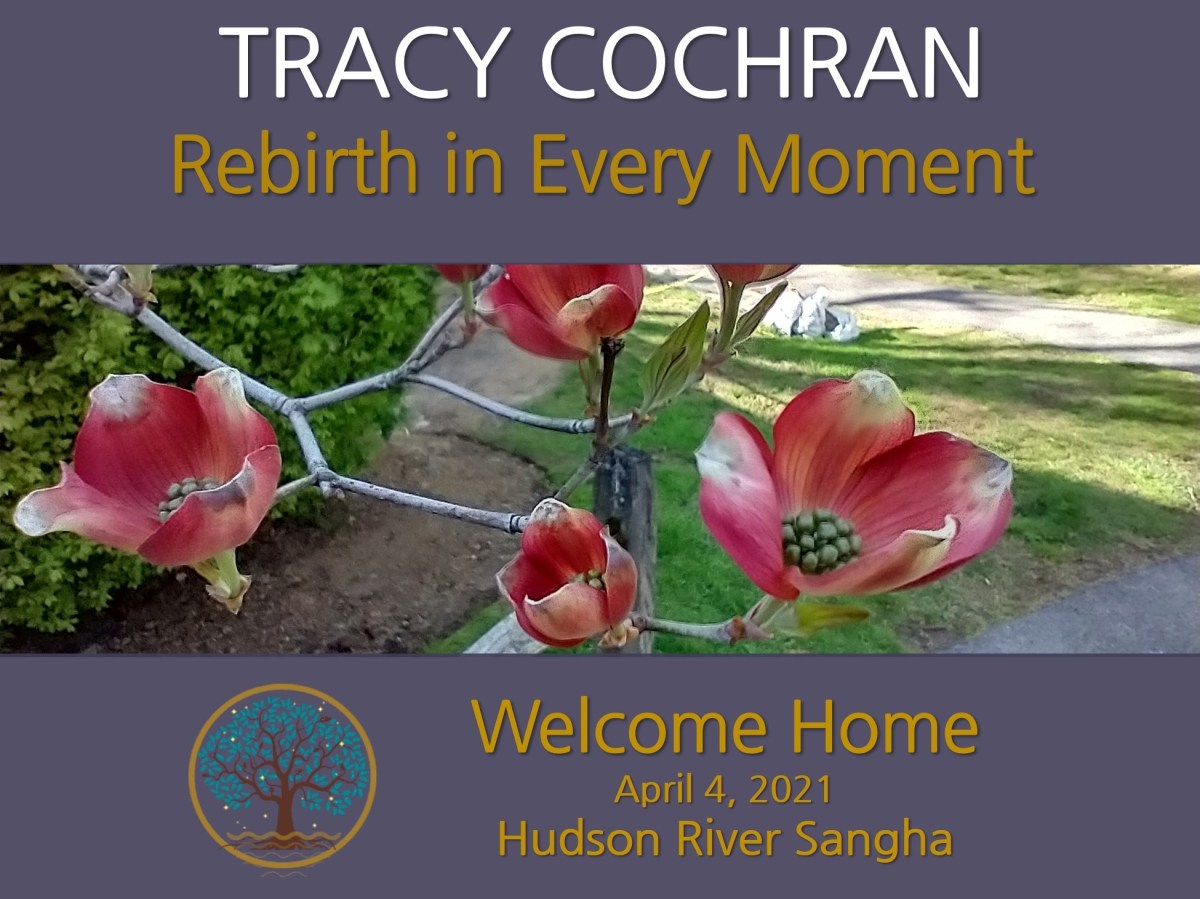 Rebirth in every moment: a guided meditation – Tracy Cochran
